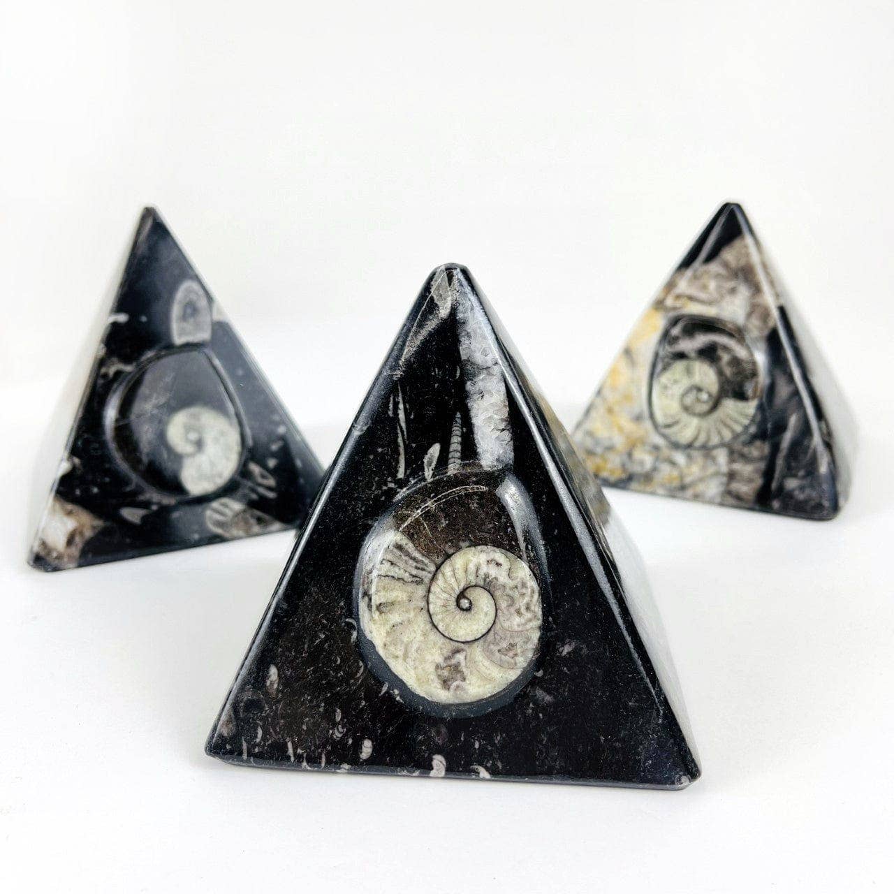 Ammonite and Orthoceras Fossil Pyramid | Sturrdrum Studios